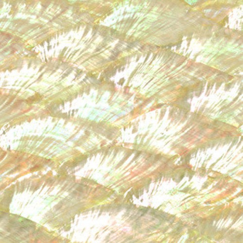 How To Inlay Abalone & Mother of Pearl Shell