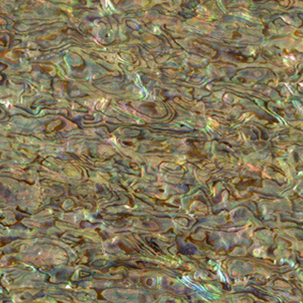 Paua Abalone Inlay Sheet