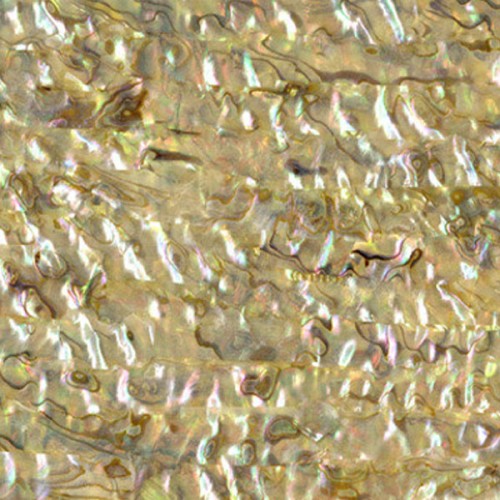 How To Inlay Abalone & Mother of Pearl Shell