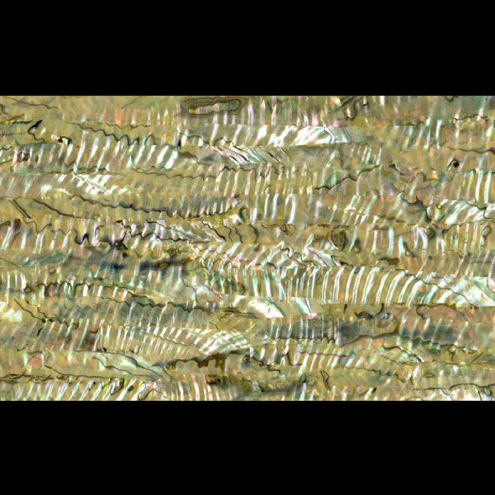 Green Abalone Inlay Sheet