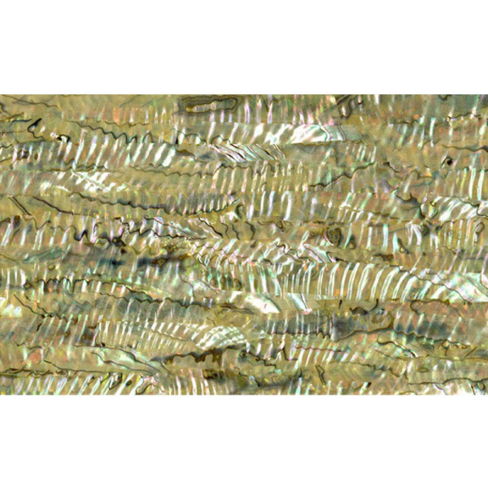 Green Abalone Inlay Sheet