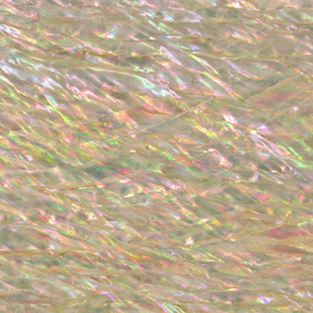 Korean Awabi Rim Abalone Inlay Sheet