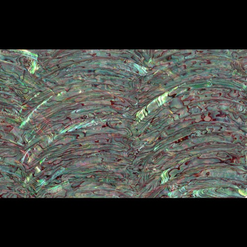 How To Inlay Abalone & Mother of Pearl Shell