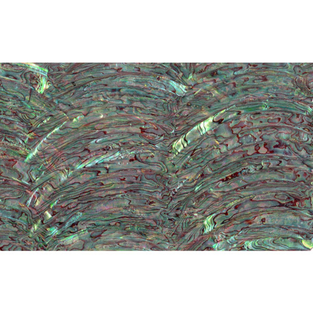 Paua Abalone Rim Dark Inlay Sheet
