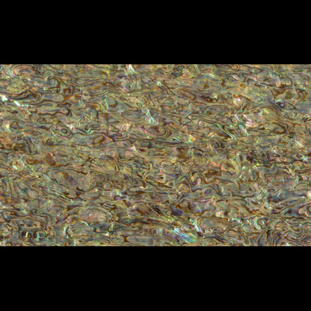 Paua Abalone Inlay Sheet