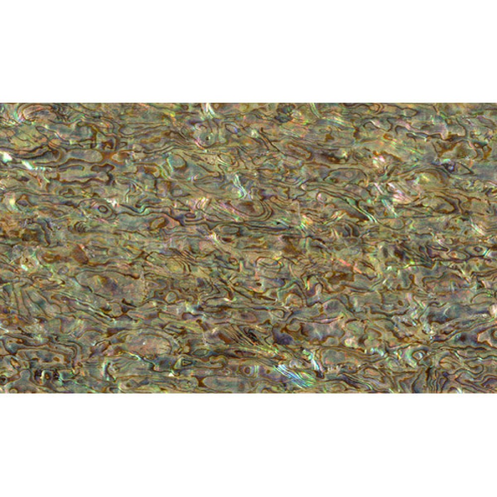 Paua Abalone Inlay Sheet