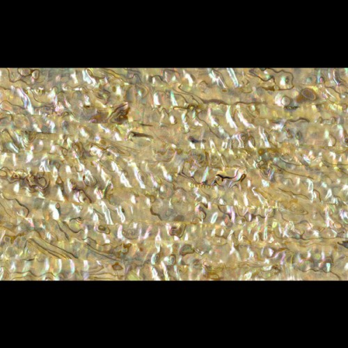 How To Inlay Abalone & Mother of Pearl Shell