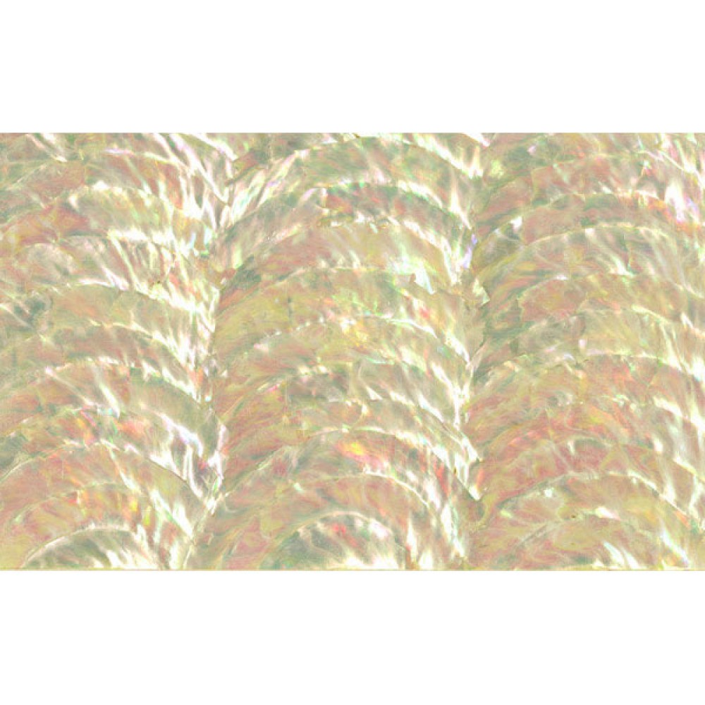 Turbo Triple Arc Abalone Inlay Sheet